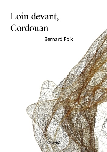 Loin devant, Cordouan de Bernard Foix - Grand Format - Livre - Decitre