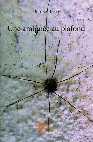 Une araignée au plafond de Denise Berry - Livre - Decitre