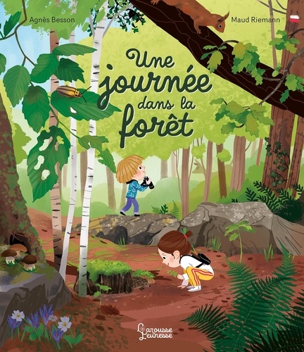 Une journée dans la forêt de Agnès Besson - Album - Livre - Decitre