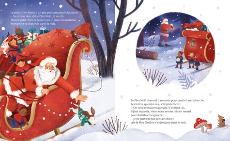 Le Père Noël est en retard de Agnès de Lestrade - Album - Livre - Decitre