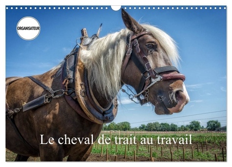 CALVENDO Mode de vie . Le cheval de trait au... - Alain Gaymard - Livres - Furet du Nord