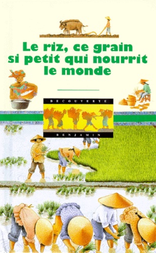 Le Riz, Ce Grain Si Petit Qui Nourrit Le Monde de Aline Riquier - Poche ...