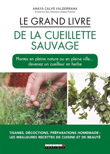 Le grand livre de la cueillette sauvage - Amaya Calvo Valderrama ...