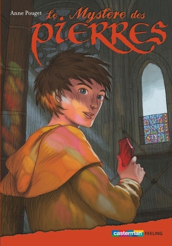 Le mystère des pierres de Anne Pouget - Livre - Decitre