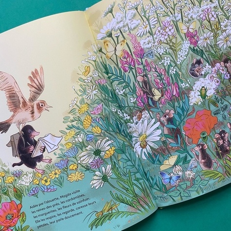 Magda Tome 1. Au grand jour de Anne Sibran - Album - Livre - Decitre