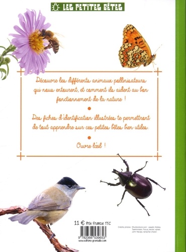 Les pollinisateurs - Observer, identifier,... de Audrey Ottonelli ...