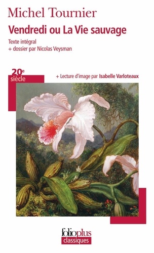 Vendredi ou La Vie sauvage de Michel Tournier - Le blog de Violette