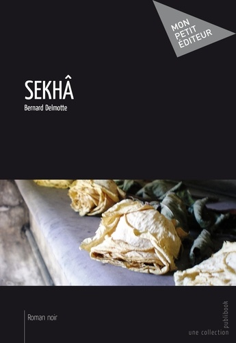 Sekha de Bernard Delmotte - Livre - Decitre