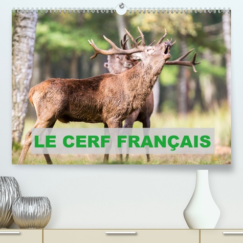 CALVENDO Animaux . Le Cerf Français (Premium,... - Bernasconi Edouard ...