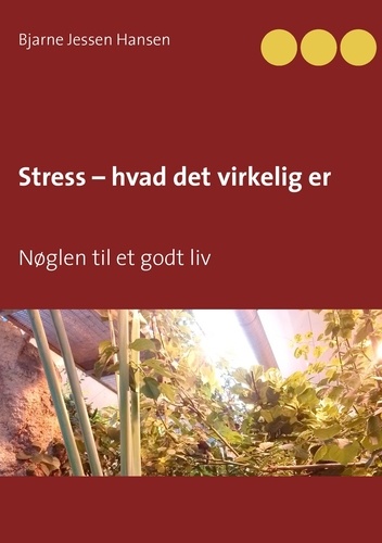 Stress – hvad det virkelig er - Nøglen til et... - Bjarne Jessen Hansen ...