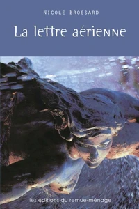 Le desert mauve 2e ed. de Nicole Brossard - Decitre