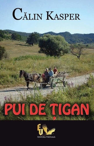 Pui de tigan de Calin Kasper - ePub - Ebooks - Decitre