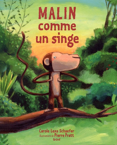 Malin comme un singe de Carole Lexa Schaefer - Album - Livre - Decitre