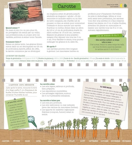 Je sème mes légumes...et ça pousse ! - Pour... de Catherine Delvaux ...