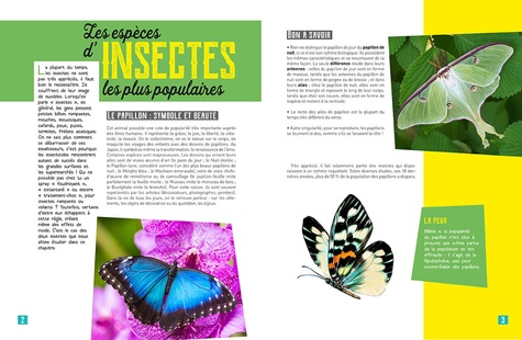 Ma petite encyclo des insectes de Céline Leclercq - Album - Livre - Decitre