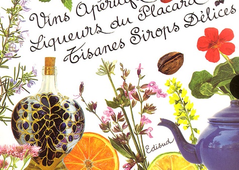 Vins apéritifs maison, Tisanes et sirops... de Chantal James - Livre - Decitre