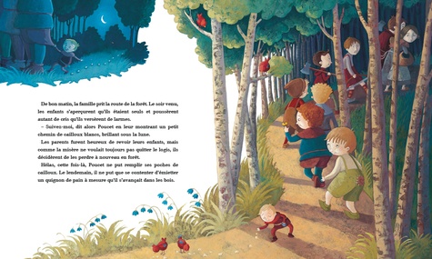 Le Petit Poucet de Charles Perrault - Album - Livre - Decitre
