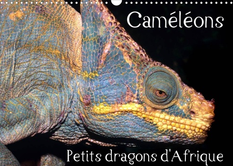 CALVENDO Animaux . Caméléons - Petits dragons... de Chris Hellier ...