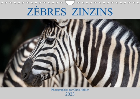 CALVENDO Animaux . Zèbres Zinzins (Calendrier... de Chris Hellier ...