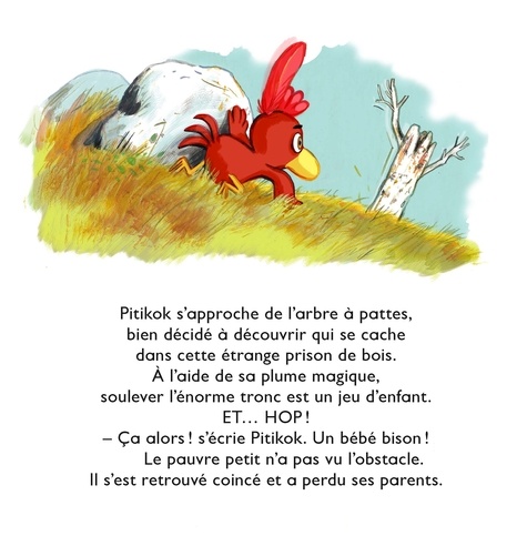 Pitikok Tome 5. Pitikok et le bébé bison de Christian Jolibois - Album ...