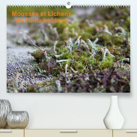 Mousses et lichens de Fontainebleau (Premium, hochwertiger DIN A2 ...