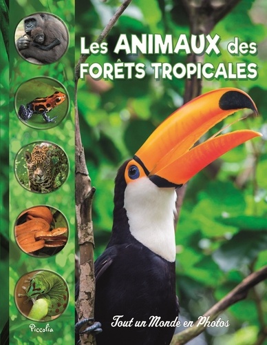 Les animaux des forêts tropicales de Collectif - Livre - Decitre