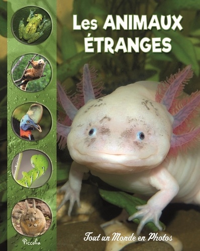 Les animaux étranges et méconnus de Collectif - Livre - Decitre