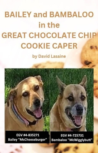 Bailey and Bambaloo in the Great Chocolate Chip... de David Lasaine ...