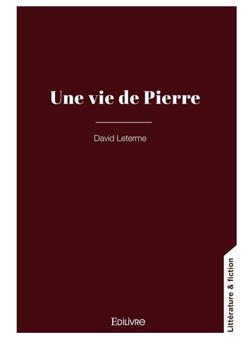 Une vie de Pierre de David Leterme - Grand Format - Livre - Decitre