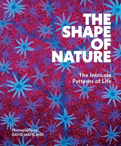 The Shape Of Nature The Intricate Patterns Of David Maitland Livres Furet Du Nord