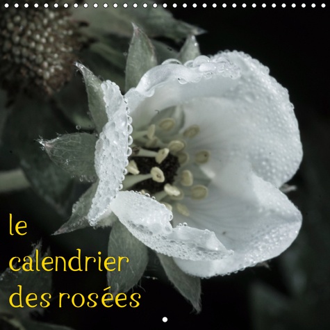 le calendrier des rosées (Calendrier mural 2019... de David Yaffee ...