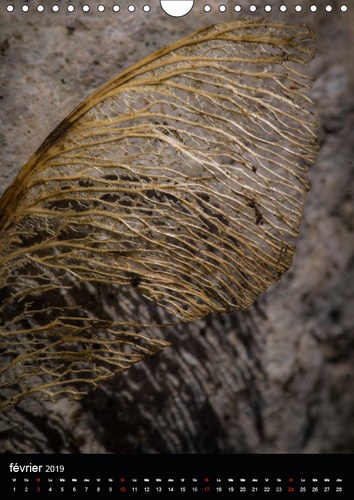 Les sculptures de Dame nature (Calendrier mural... de David Yaffee ...