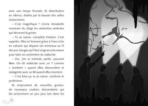 Les aventures extraordinaires d'Ethan Tome 4. Le... de Dominique Durand ...
