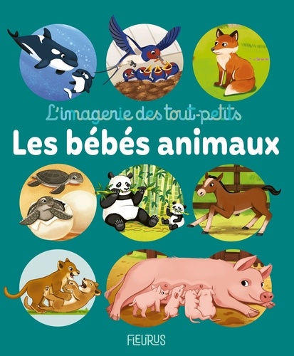 Les bébés animaux - Emilie Beaumont - Livres - Furet du Nord
