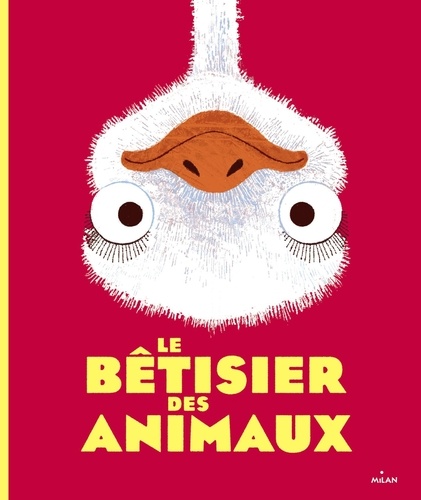 Le bêtisier des animaux de Emma Dods - Album - Livre - Decitre