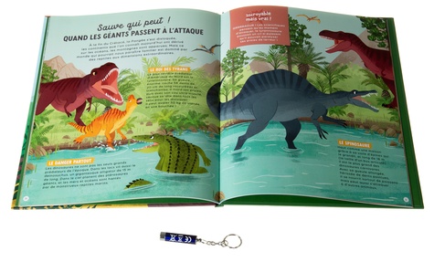 Les dinosaures - Avec 1 lampe magique de Emmanuelle Lepetit - Album ...