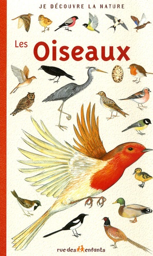 Les Oiseaux de Florence McKenzie - Livre - Decitre