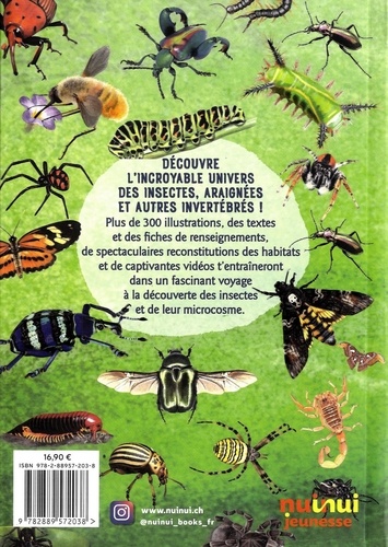 Guide des insectes du monde et autres invertébrés - Francesco ...
