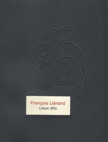 Lieux dits de François Liénard - Grand Format - Livre - Decitre