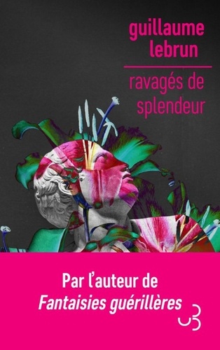 Ravagés de splendeur de Guillaume Lebrun - Grand Format - Livre - Decitre