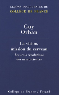 rôle du cerveau dans la vision