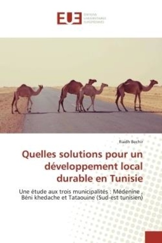 Quelles solutions pour un développement local... de Riadh Bechir ...