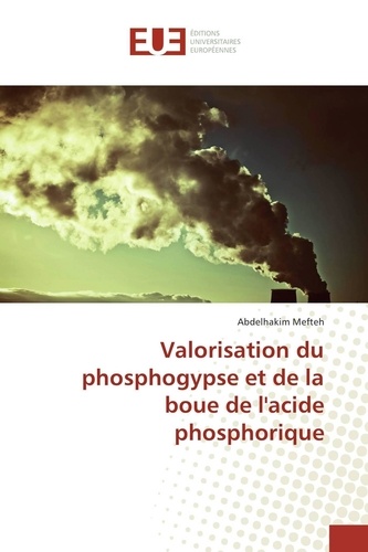 Valorisation du phosphogypse et de la boue de... - Abdelhakim Mefteh ...