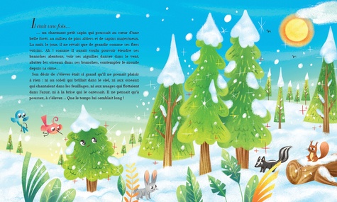 Le sapin de Hans Christian Andersen - Album - Livre - Decitre