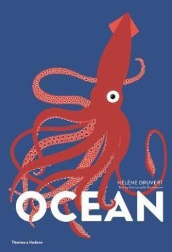 Ocean de Hélène Druvert - Album - Livre - Decitre