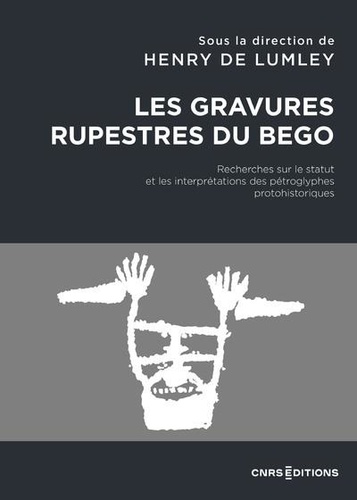 Les gravures rupestres du Bégo - Recherches sur... de Henry de Lumley ...
