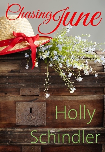 Chasing June de Holly Schindler - ePub - Ebooks - Decitre