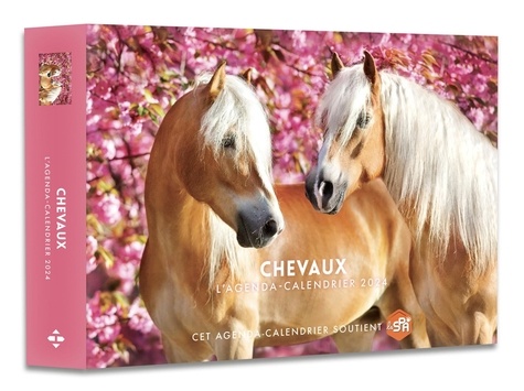L'agenda-calendrier Chevaux de Hugo Image - Grand Format - Livre - Decitre