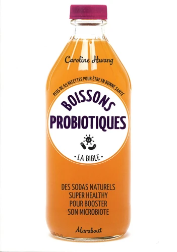 Boissons probiotiques - La bible de Caroline Hwang - Decitre