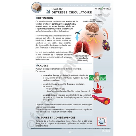 Premiers secours en équipe PSE 1 & 2 -... de Icone Graphic - Grand Format - Livre - Decitre